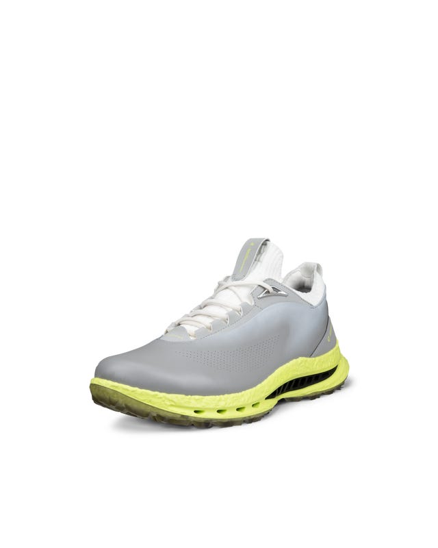 Men's ECCO® Golf Biom C5 Leather Gore-Tex Golf Shoe | Gray