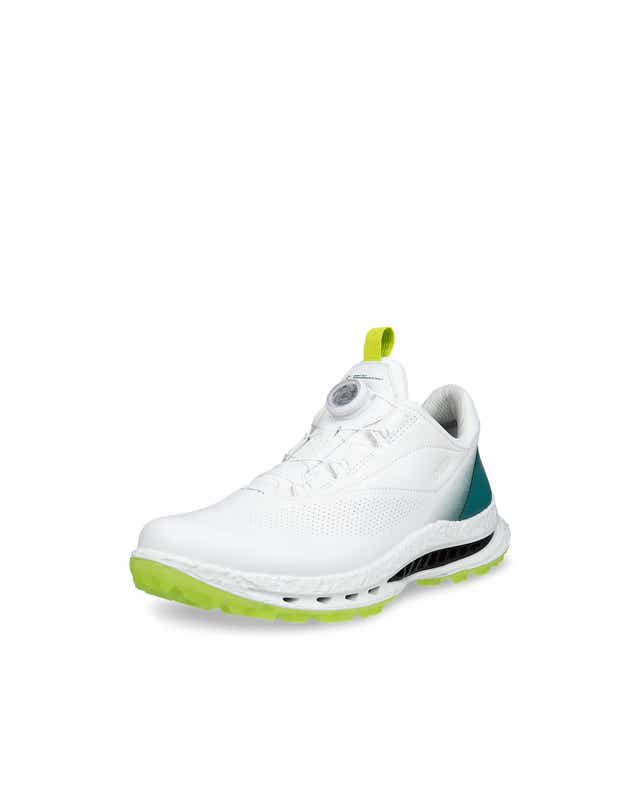 Men's ECCO® GOLF BIOM C5 Leather Gore-Tex Golf Shoe | White