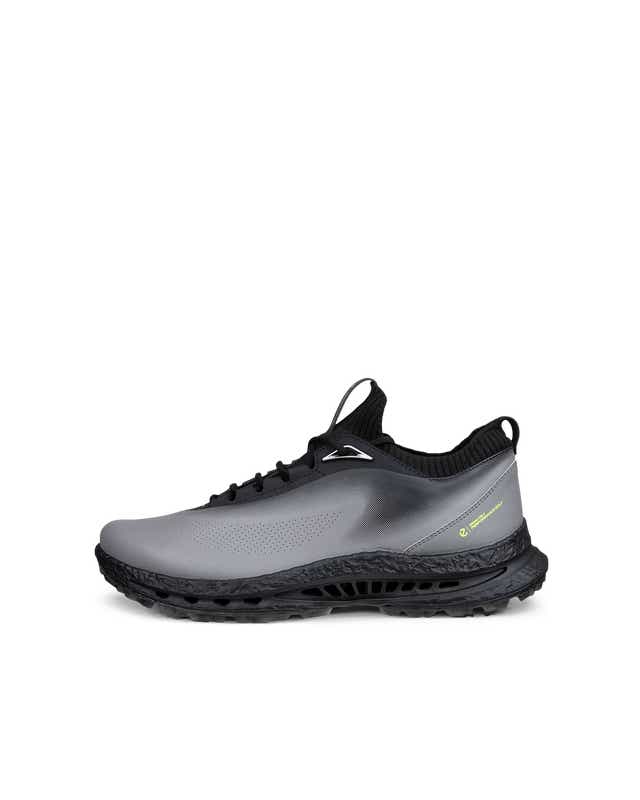 Men's ECCO® Golf Biom C5 Leather Gore-Tex Golf Shoe | Gray