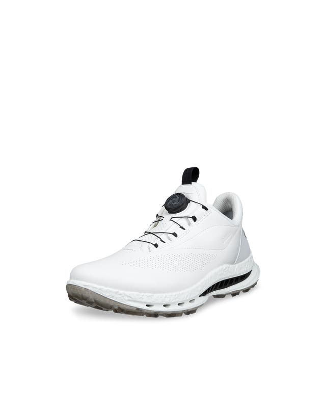 Men's ECCO® GOLF BIOM C5 Leather Gore-Tex Golf Shoe | White
